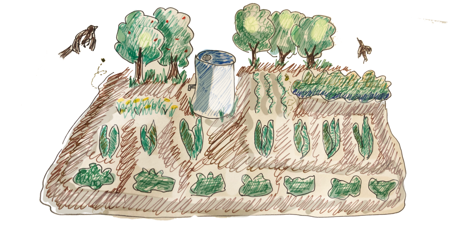 Connections Between Permaculture & Systems Practice | Inspiring Communities